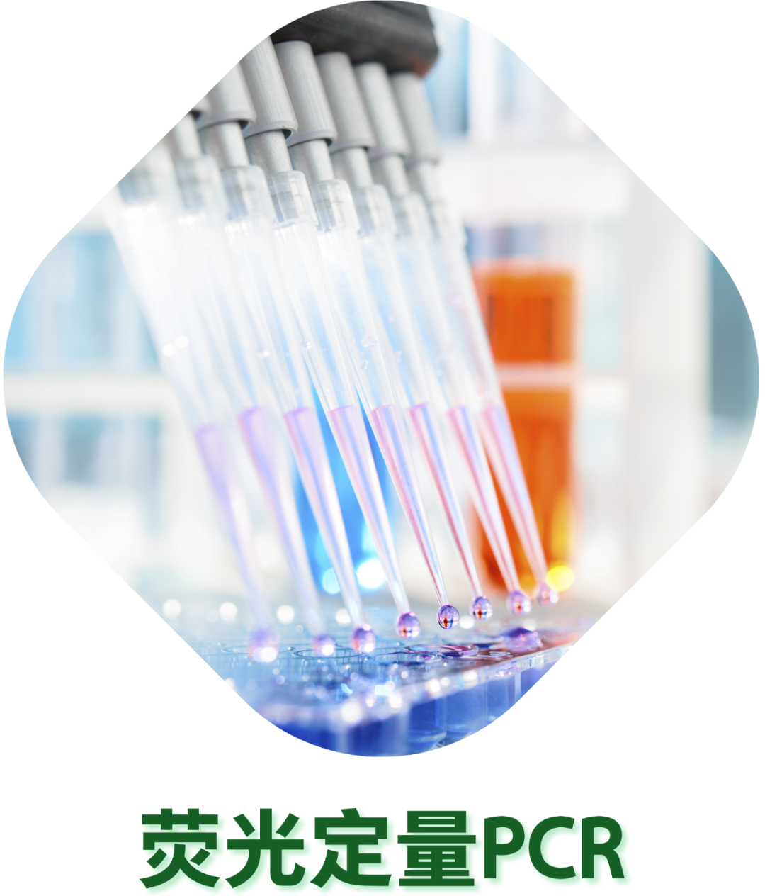 吉玛基因|荧光定量PCR医药新闻-ByDrug-一站式医药资源共享中心-医药魔方