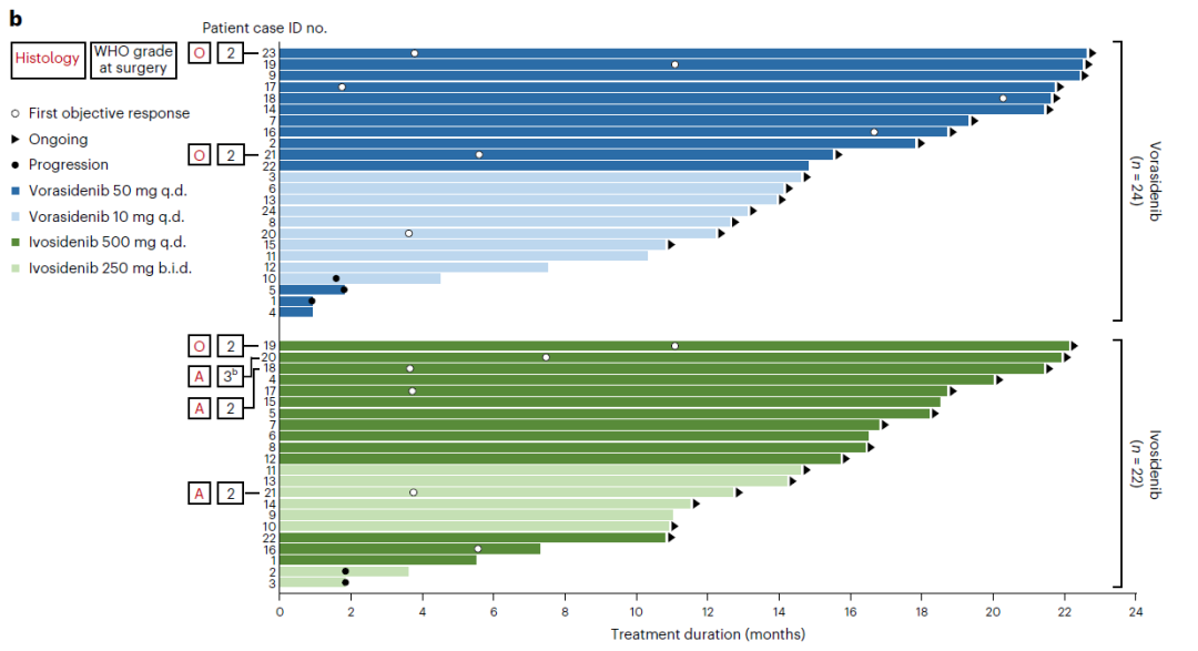吴劲松教授 | 见微知著：从INDIGO研究看IDH突变胶质瘤靶向治疗的新动态与新趋势医药新闻-ByDrug-一站式医药资源共享中心-医药魔方