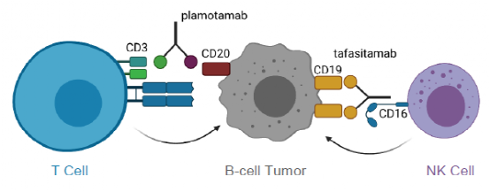 诺诚健华：Tafasitamab联合来那度胺治疗复发/难治DLBCL在博鳌乐城开出首方医药新闻-ByDrug-一站式医药资源共享中心-医药魔方