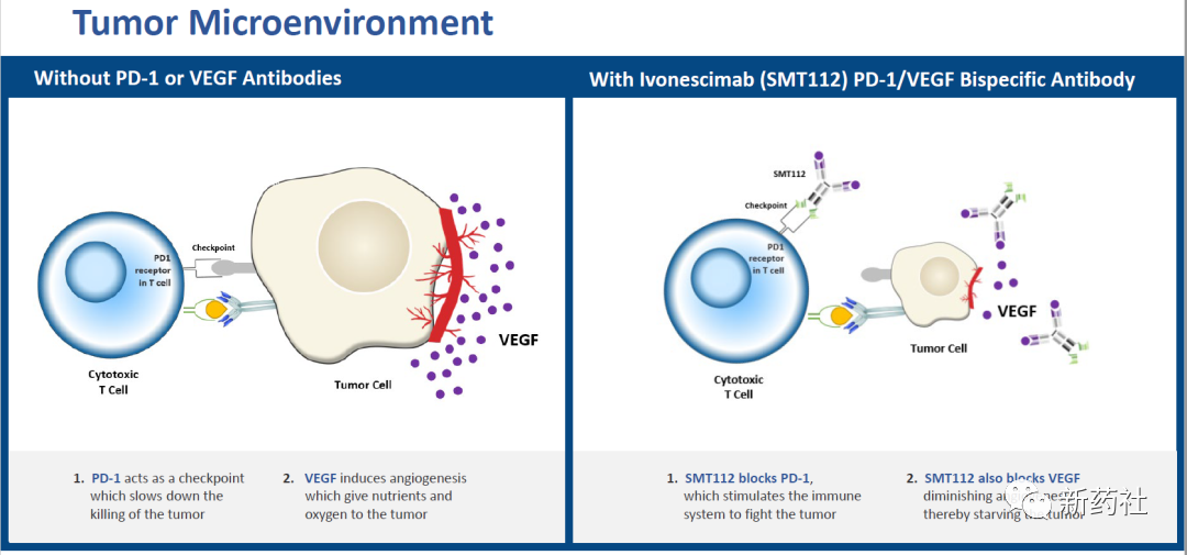 Summit Therapeutics引进康方生物PD-1/VEGF双抗，获肺癌药物Ivonescimab多项独家许可权医药新闻-ByDrug ...