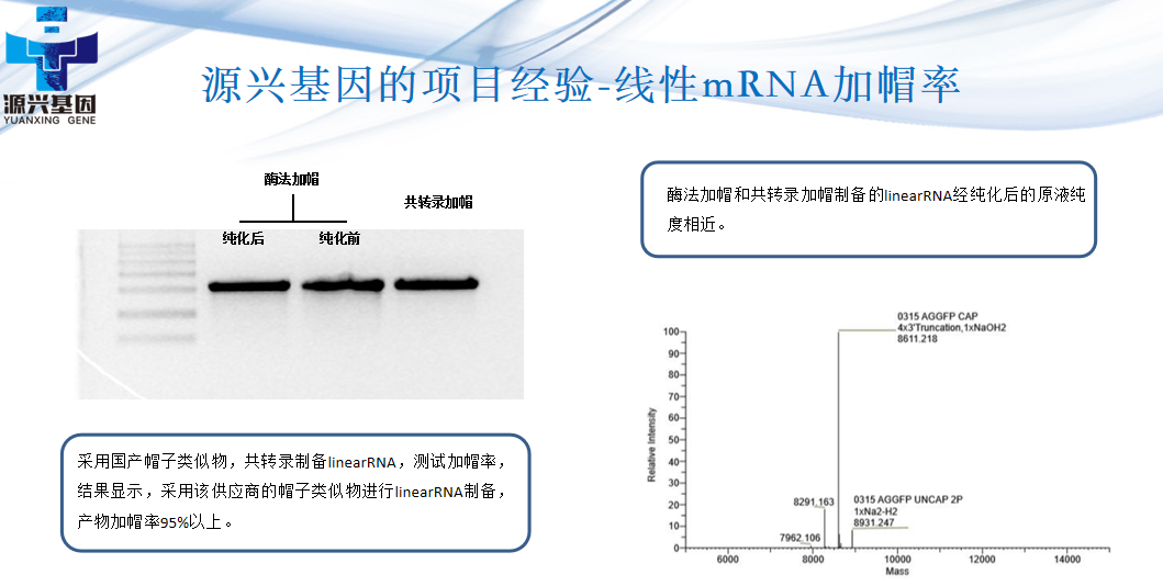 mRNA海外狂飙，源兴基因助你国内领先!医药新闻-ByDrug-一站式医药资源共享中心-医药魔方