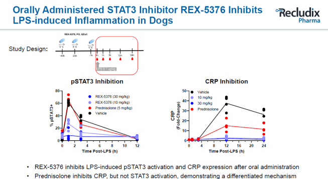 靶向难成药靶点STAT的磷酸肽类抑制剂：花开两朵，各表一枝医药新闻-ByDrug-一站式医药资源共享中心-医药魔方