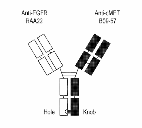 阿斯利康双抗（EGFRxcMET)ADC有何启示医药新闻-ByDrug-一站式医药资源共享中心-医药魔方