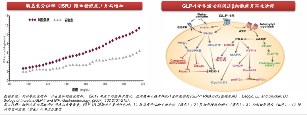 【GLP-1产业链专题】GLP-1RA引领全球降糖减重时代变革医药新闻-ByDrug-一站式医药资源共享中心-医药魔方