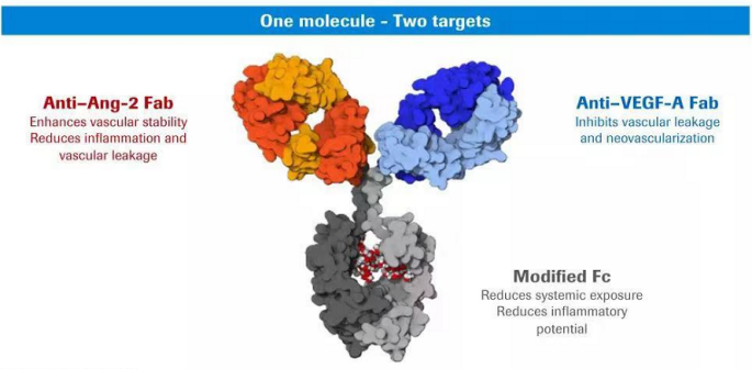 研究报告 | 靶向Ang药物在研现状医药新闻-ByDrug-一站式医药资源共享中心-医药魔方