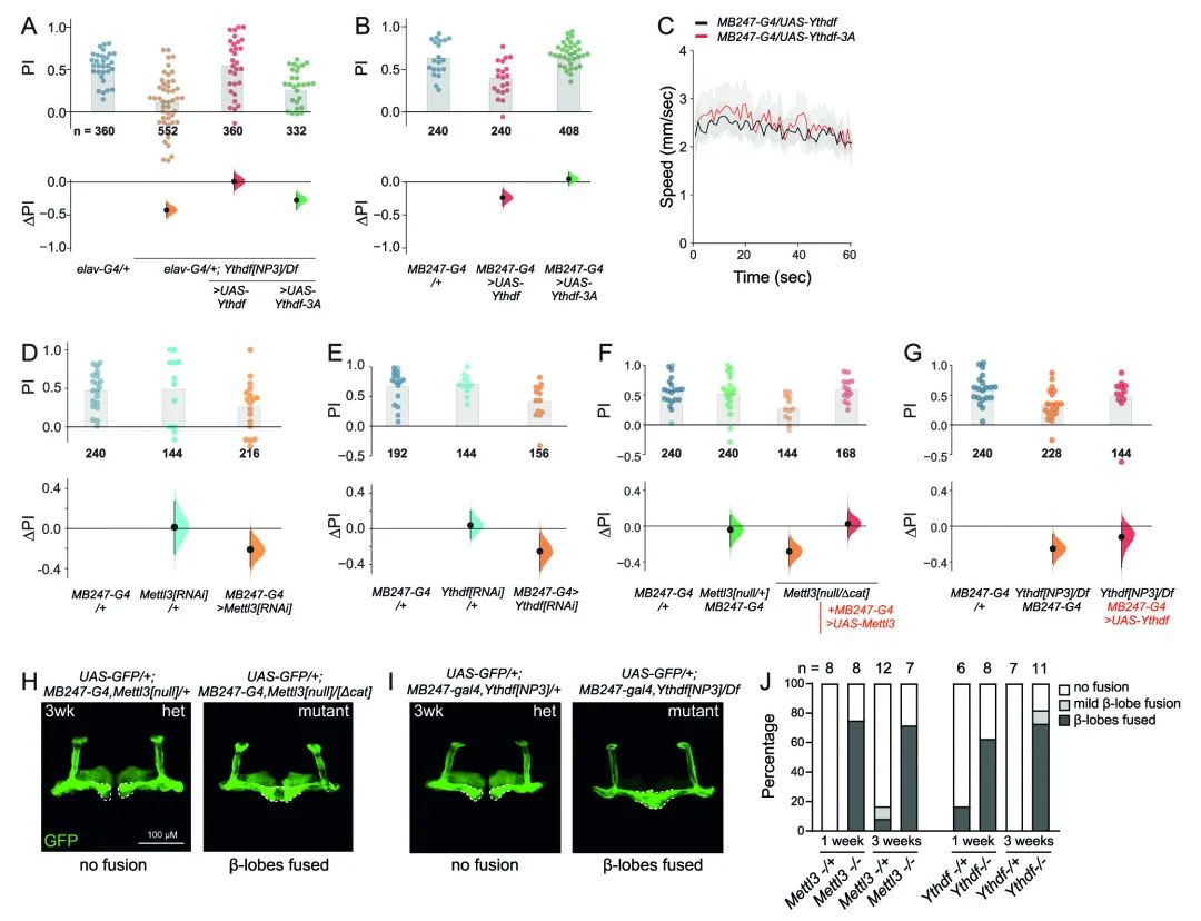 m6A最新研究进展盘点（20210316）医药新闻-ByDrug-一站式医药资源共享中心-医药魔方