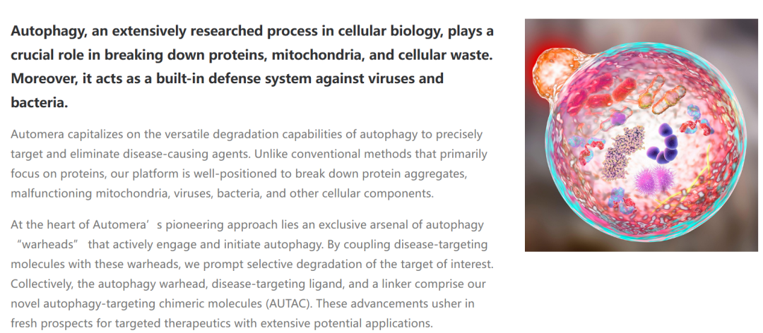 新锐！1600万美元A轮融资，开发AUTAC疗法医药新闻-ByDrug-一站式医药资源共享中心-医药魔方
