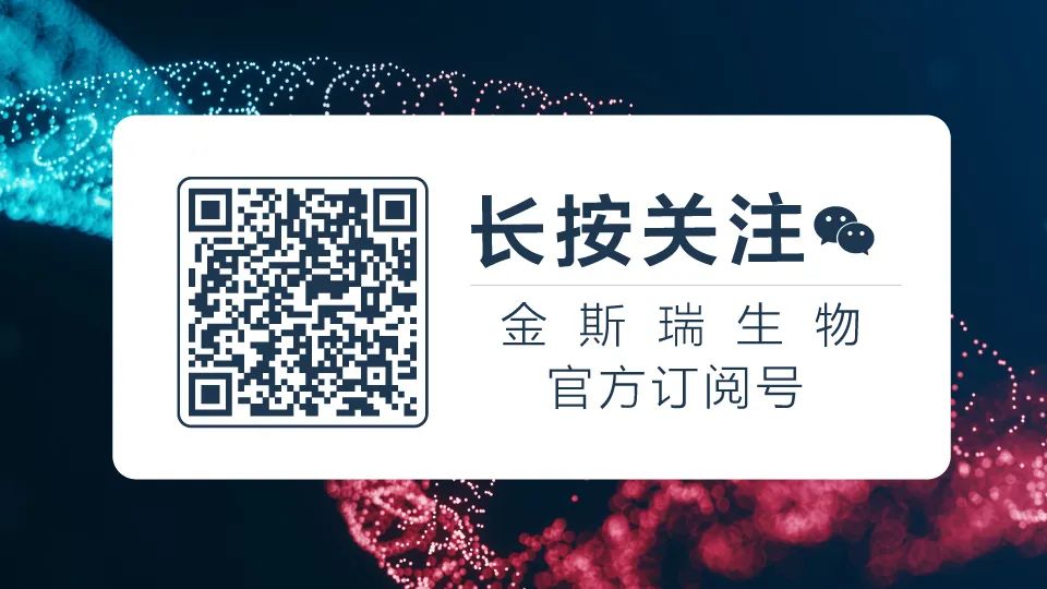 GenCircle dsDNA演绎极简美学！金斯瑞GCT试剂原料管线再添王牌医药新闻-ByDrug-一站式医药资源共享中心-医药魔方