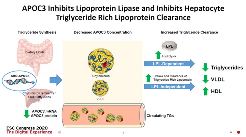 【小核酸深度研究系列】GalNAc之后，小核酸近期还有哪些递送平台可能迎来商业化拐点？医药新闻-ByDrug-一站式医药资源共享中心-医药魔方