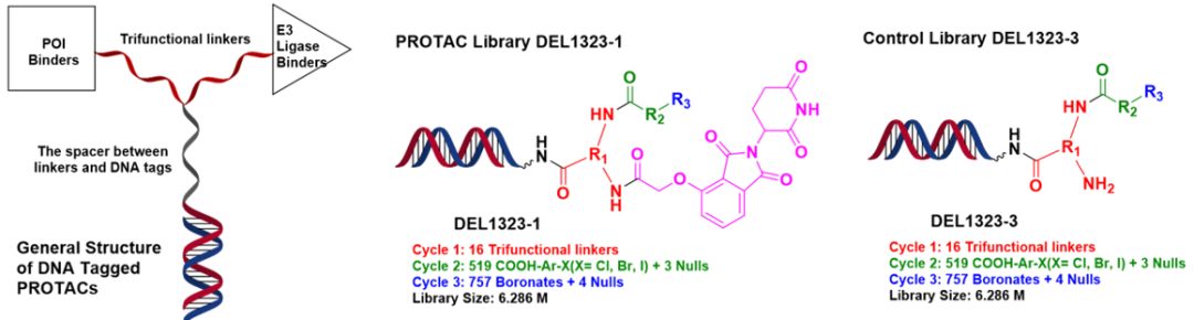 科技前沿 | DEL筛选新进展：助力PROTAC分子发现医药新闻-ByDrug-一站式医药资源共享中心-医药魔方
