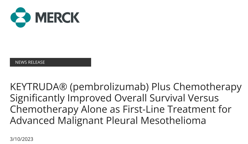 K药联合化疗一线治疗晚期恶性胸膜间皮瘤II/III期研究成功医药新闻-ByDrug-一站式医药资源共享中心-医药魔方