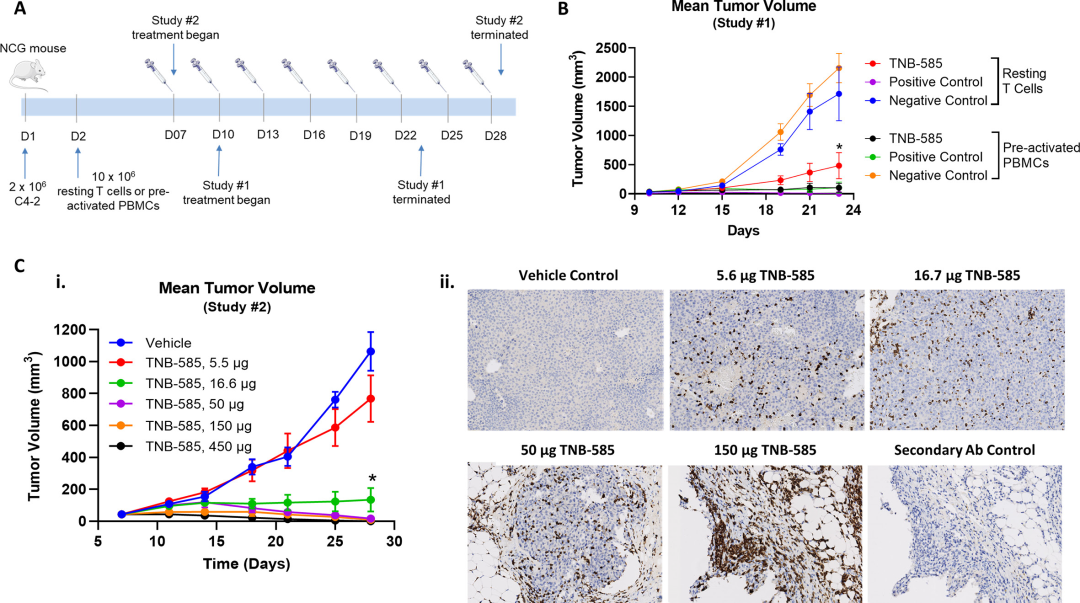 J Immunother Cancer| 安进子公司Teneobio发表PSMA/CD3双抗的作用机理医药新闻-ByDrug-一站式医药资源共享中心-医药魔方