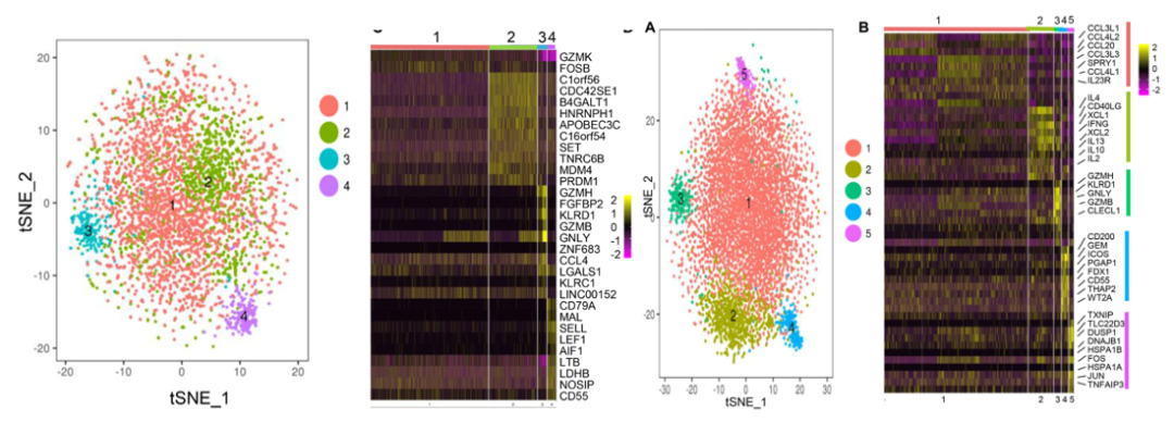 免疫细胞家族：NKT细胞的概述医药新闻-ByDrug-一站式医药资源共享中心-医药魔方