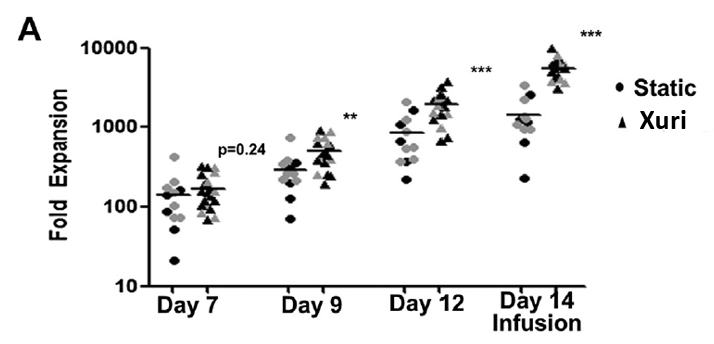 国内首个TIL疗法临床获批，如何实现TIL细胞大量扩增？医药新闻-ByDrug-一站式医药资源共享中心-医药魔方