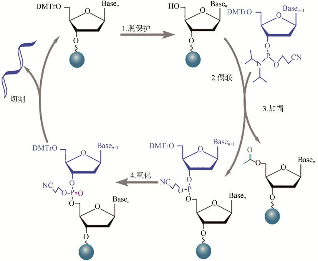 SynBio Insights | DNA合成、组装与纠错技术研究进展医药新闻-ByDrug-一站式医药资源共享中心-医药魔方