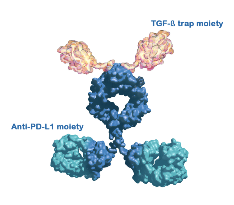 惋惜？双靶点免疫治疗药M7824三期临床试验未能胜过单靶点PD-1抑制剂医药新闻-ByDrug-一站式医药资源共享中心-医药魔方