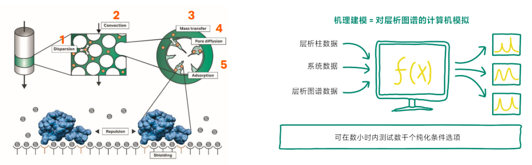 HPV疫苗生产平台搭建探讨医药新闻-ByDrug-一站式医药资源共享中心-医药魔方