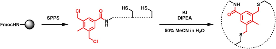 行业研究 | 双环肽Bicyclic Peptides: 肽类药物治疗的新前沿医药新闻-ByDrug-一站式医药资源共享中心-医药魔方
