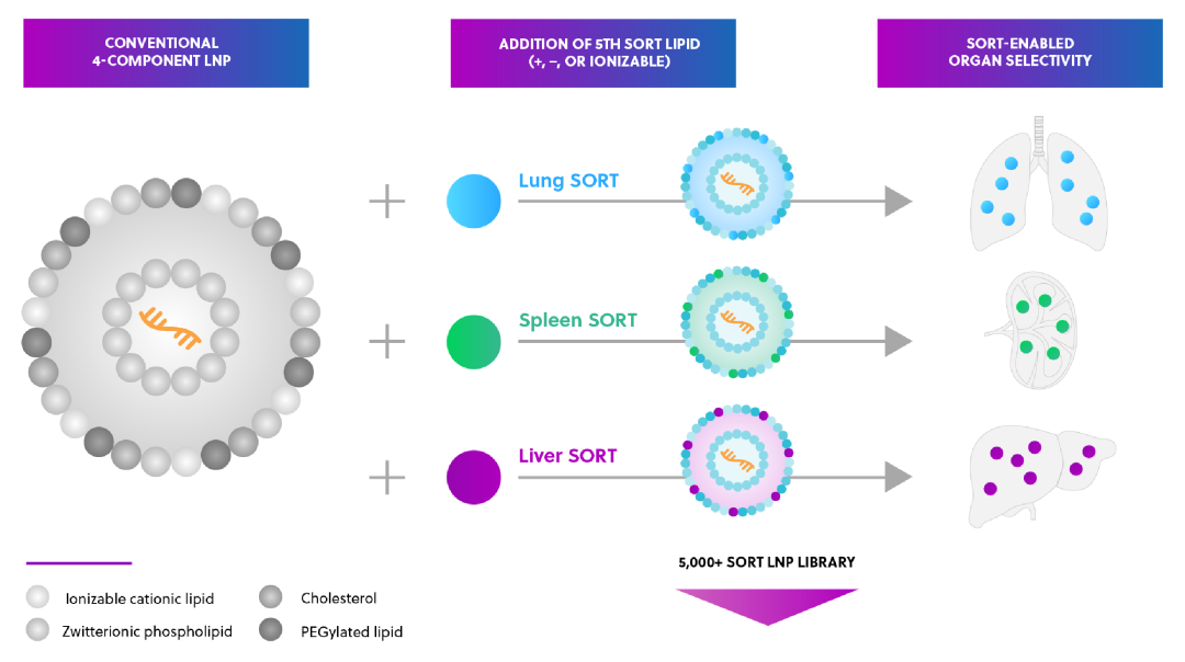ReCode完成2亿美元B轮融资，开发下一代LNP递送平台和管线医药新闻-ByDrug-一站式医药资源共享中心-医药魔方