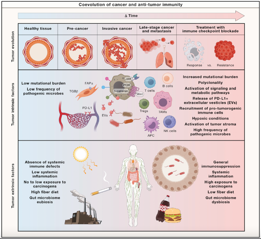 Cell经典综述：免疫检查点阻断（ICB）应答、耐药、毒性的特点医药新闻-ByDrug-一站式医药资源共享中心-医药魔方