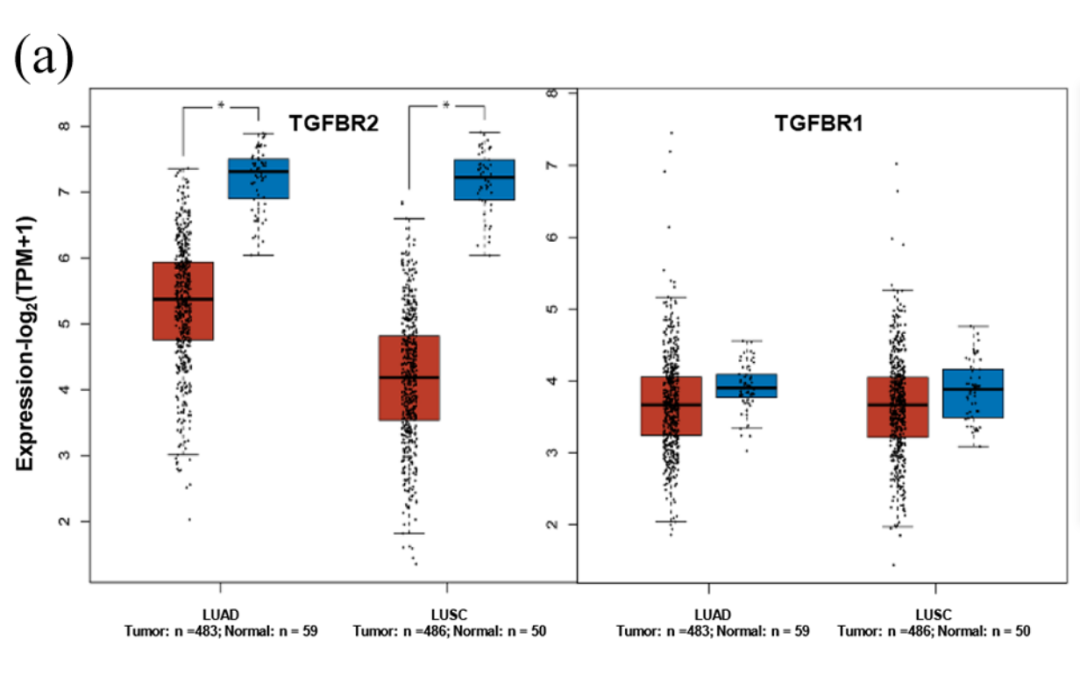 【文章发表】TGFBR2突变可以预测非小细胞肺癌患者对免疫检查点抑制剂的耐药性医药新闻-ByDrug-一站式医药资源共享中心-医药魔方