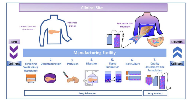 重磅！全球首款胰岛细胞疗法获批上市，治疗1型糖尿病医药新闻-ByDrug-一站式医药资源共享中心-医药魔方