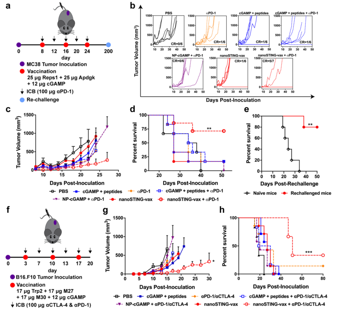 ACS Nano新生抗原递送：新颖多聚物纳米脂质体共递送STING激活剂与新生抗原肽医药新闻-ByDrug-一站式医药资源共享中心-医药魔方