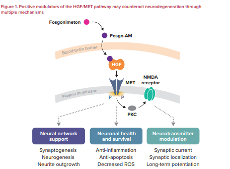 阿尔兹海默症药物新方向！Athira继续推进fosgonimeton II/III期临床医药新闻-ByDrug-一站式医药资源共享中心-医药魔方