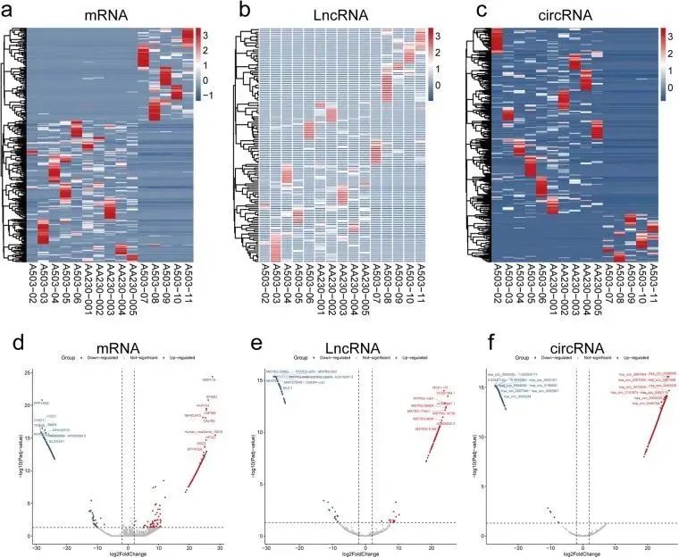 合作成果|IF9|骨肉瘤血浆外泌体lncRNA和circRNA及mRNA表达图谱医药新闻-ByDrug-一站式医药资源共享中心-医药魔方