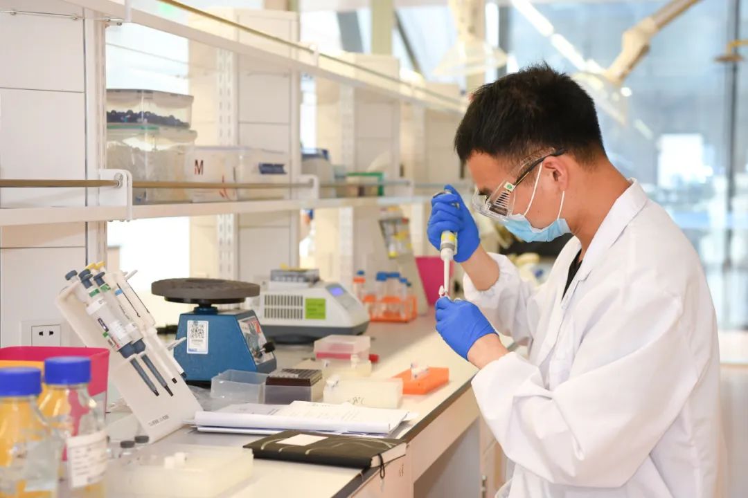 正大天晴1类新药 TQA3038 (siRNA) 临床试验申请获 CDE 受理医药新闻-ByDrug-一站式医药资源共享中心-医药魔方