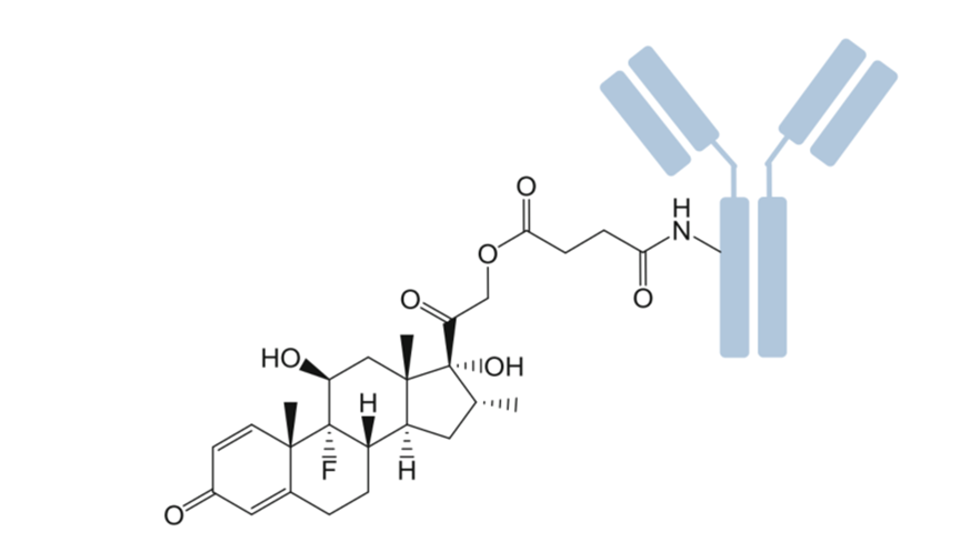 ADCs Beyond Oncology：ADC在非抗肿瘤领域中的研究进展医药新闻-ByDrug-一站式医药资源共享中心-医药魔方