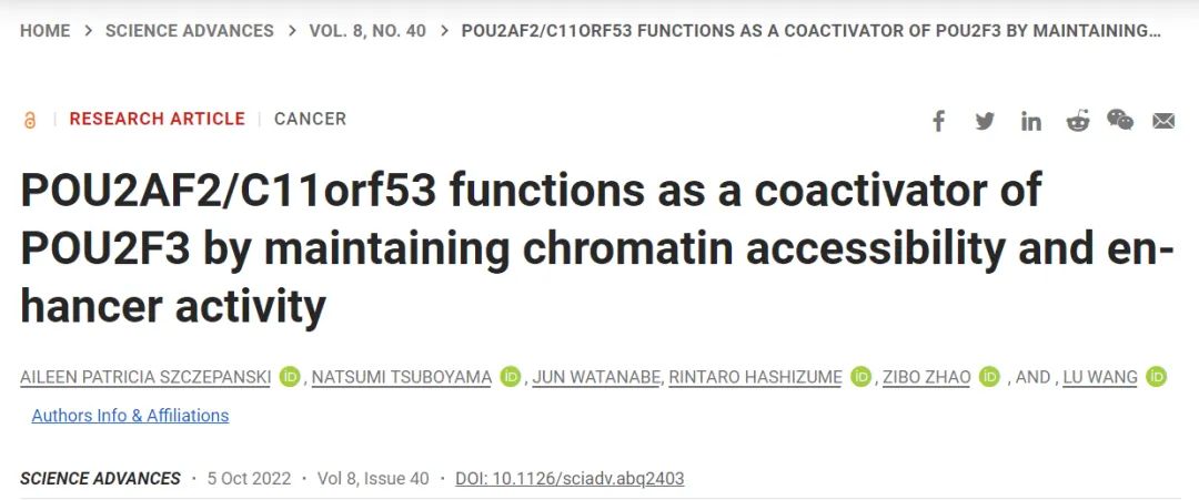挑战难治性肺癌！科学家找到关键靶点——POU2AF2 | Science子刊医药新闻-ByDrug-一站式医药资源共享中心-医药魔方