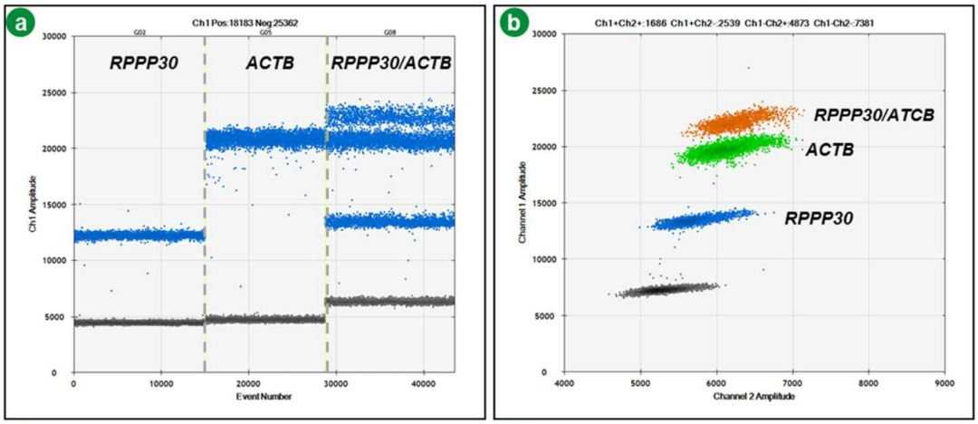 数字PCR究竟有何魔力？医药新闻-ByDrug-一站式医药资源共享中心-医药魔方