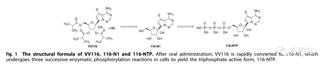 VV16的前世今生医药新闻-ByDrug-一站式医药资源共享中心-医药魔方
