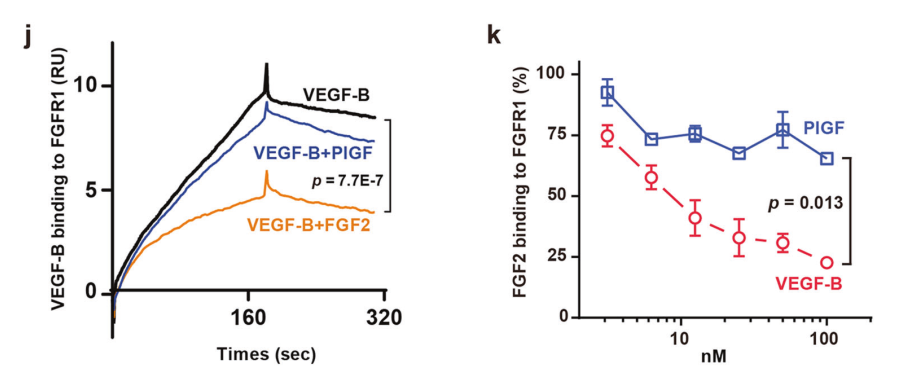 讲真，临床VEGF药物你都用对了吗？医药新闻-ByDrug-一站式医药资源共享中心-医药魔方
