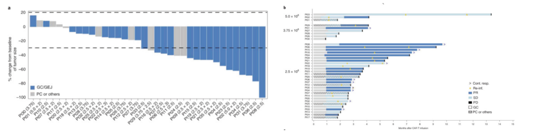 科济药业自体CAR-T产品CT041中国获批临试医药新闻-ByDrug-一站式医药资源共享中心-医药魔方