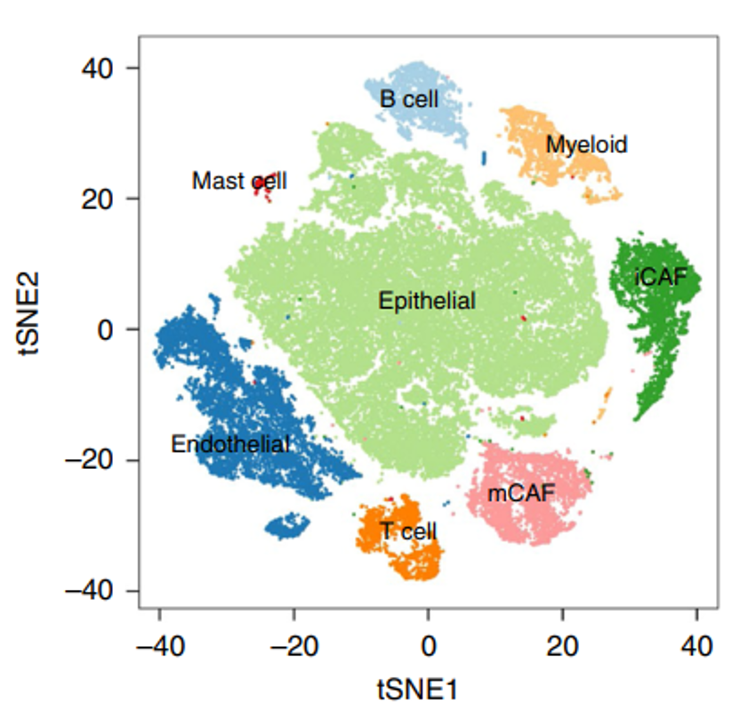 单细胞转录因子分析好帮手——pySCENIC医药新闻-ByDrug-一站式医药资源共享中心-医药魔方