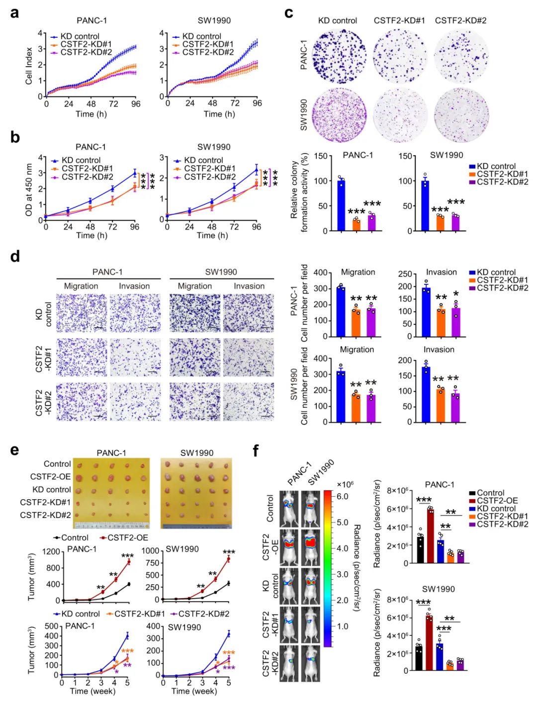 Nature子刊丨CSTF2介导的mRNA m6A修饰驱动胰腺导管腺癌m6A亚型医药新闻-ByDrug-一站式医药资源共享中心-医药魔方