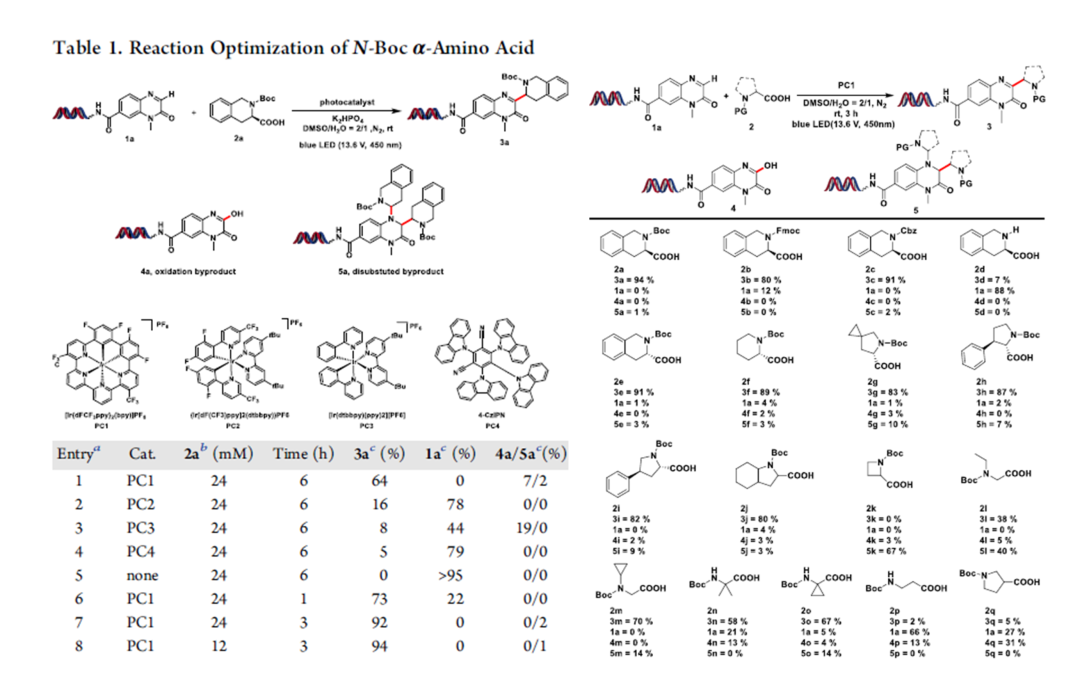 新突破！DNA相容的可见光催化反应研究取得进展医药新闻-ByDrug-一站式医药资源共享中心-医药魔方