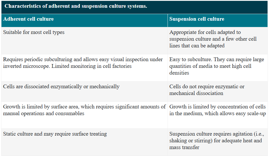 细胞治疗CDMO—解决行业痛点，助力细胞治疗产品商业化医药新闻-ByDrug-一站式医药资源共享中心-医药魔方