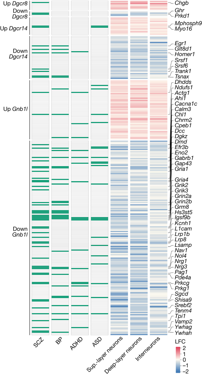 《Nature》：新方法AAV-Perturb-seq有助于加快基因功能研究医药新闻-ByDrug-一站式医药资源共享中心-医药魔方