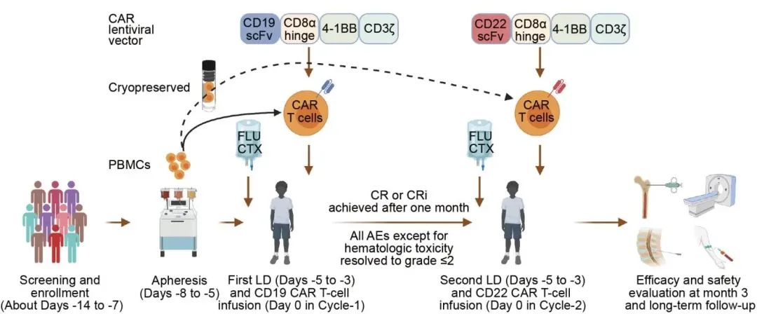 Lancet Oncol Cd19和cd22 Car T序贯治疗儿童b All的ii期临床试验显示低复发率和良好安全性医药新闻