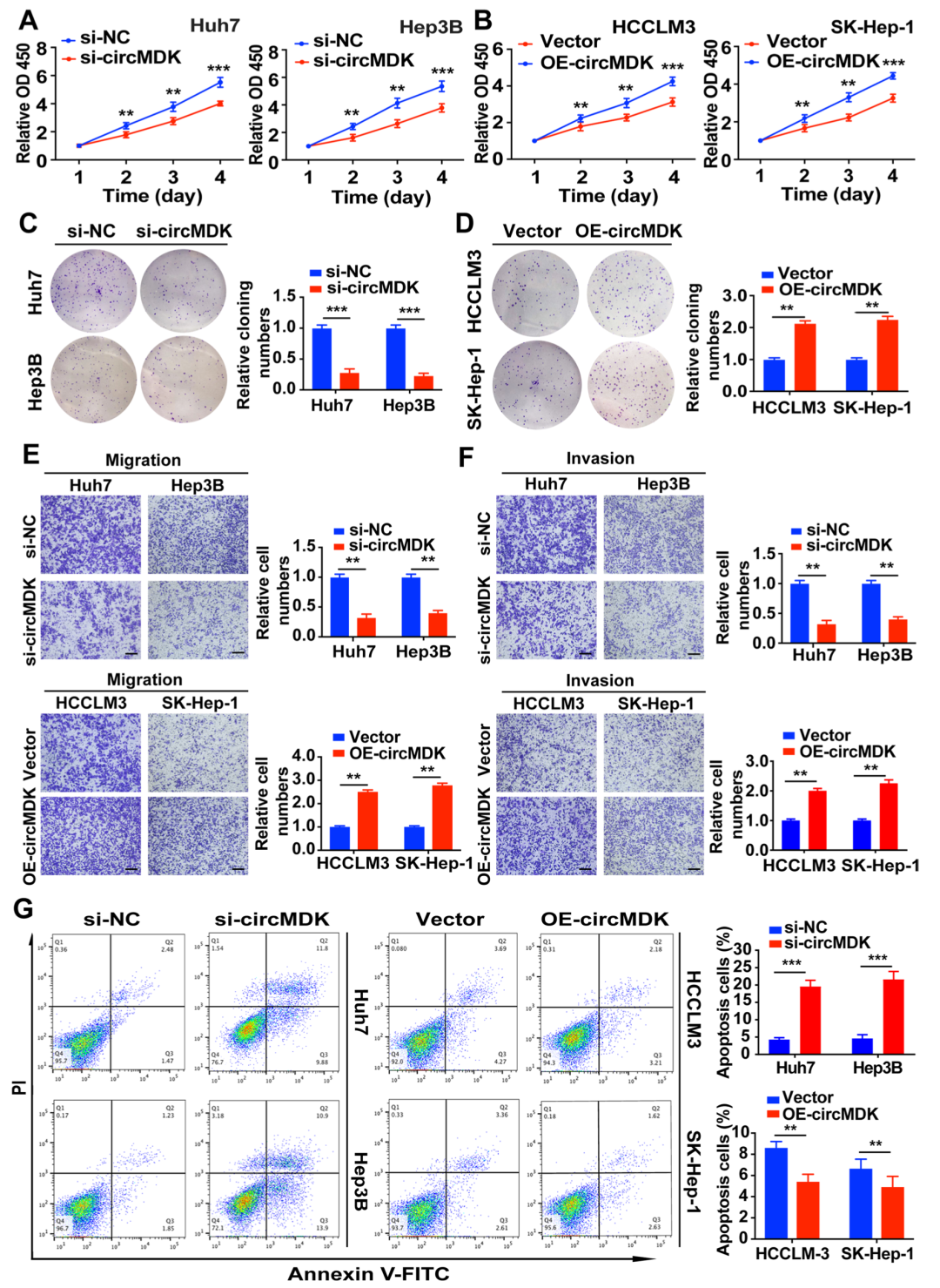 Mol Cancer丨M6A介导的circMDK上调促进肿瘤发生，是HCC的纳米治疗靶点医药新闻-ByDrug-一站式医药资源共享中心-医药魔方