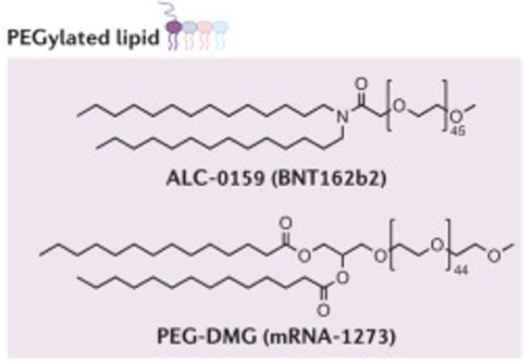 LNP递送系统如何突破技术瓶颈，是mRNA制药企业商业化的关键 | 高特佳Insights医药新闻-ByDrug-一站式医药资源共享中心-医药魔方