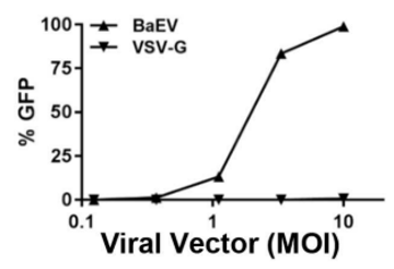一种新型慢病毒载体------狒狒逆转录病毒包膜糖蛋白假型慢病毒（BaEV-LVs）医药新闻-ByDrug-一站式医药资源共享中心-医药魔方