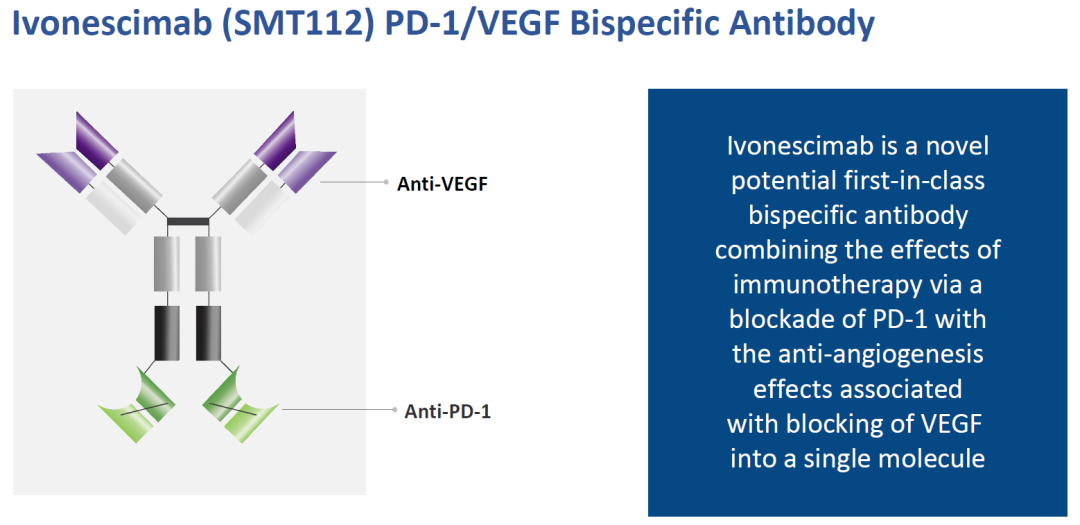 Summit亮相JPM，上个月50亿美元引进康方PD-1/VEGF双抗医药新闻-ByDrug-一站式医药资源共享中心-医药魔方