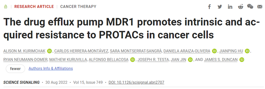 Science子刊封面论文：PROTAC耐药的“罪魁祸首”竟是它！医药新闻-ByDrug-一站式医药资源共享中心-医药魔方
