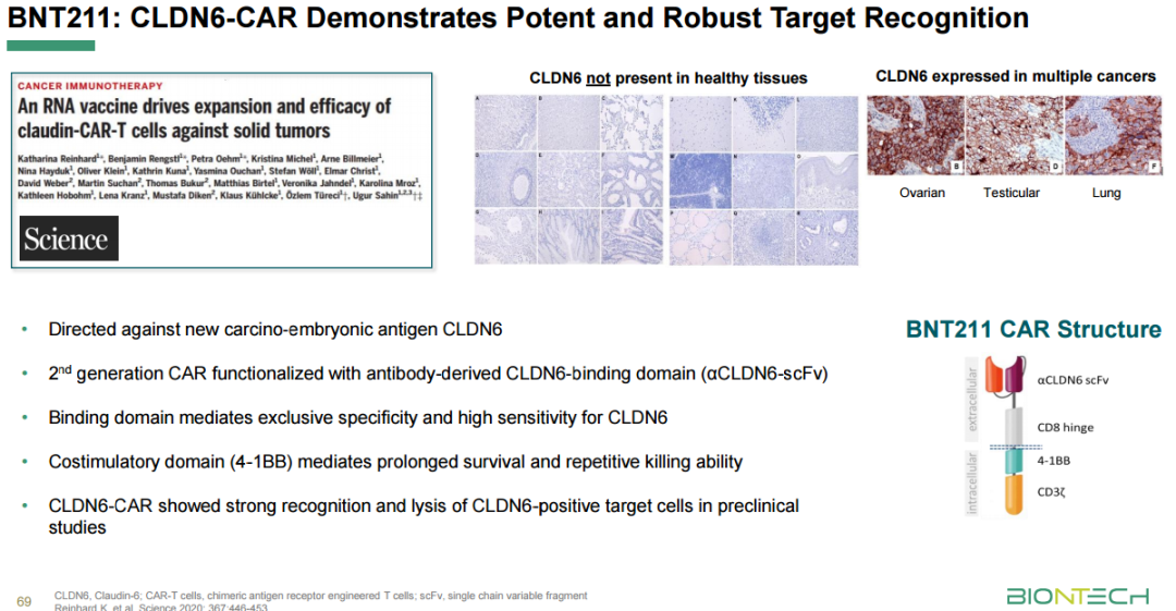 BioNTech公布CLDN6 CAR-T疗法首个实体瘤临床结果医药新闻-ByDrug-一站式医药资源共享中心-医药魔方