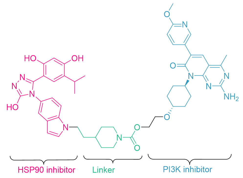 基于分子伴侣的蛋白降解技术发展历程医药新闻-ByDrug-一站式医药资源共享中心-医药魔方