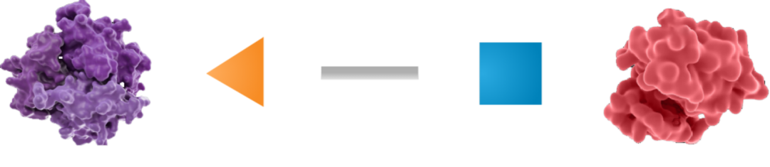 新锐！7600万美元融资，Craig Crews教授新公司开发RIPTAC疗法医药新闻-ByDrug-一站式医药资源共享中心-医药魔方